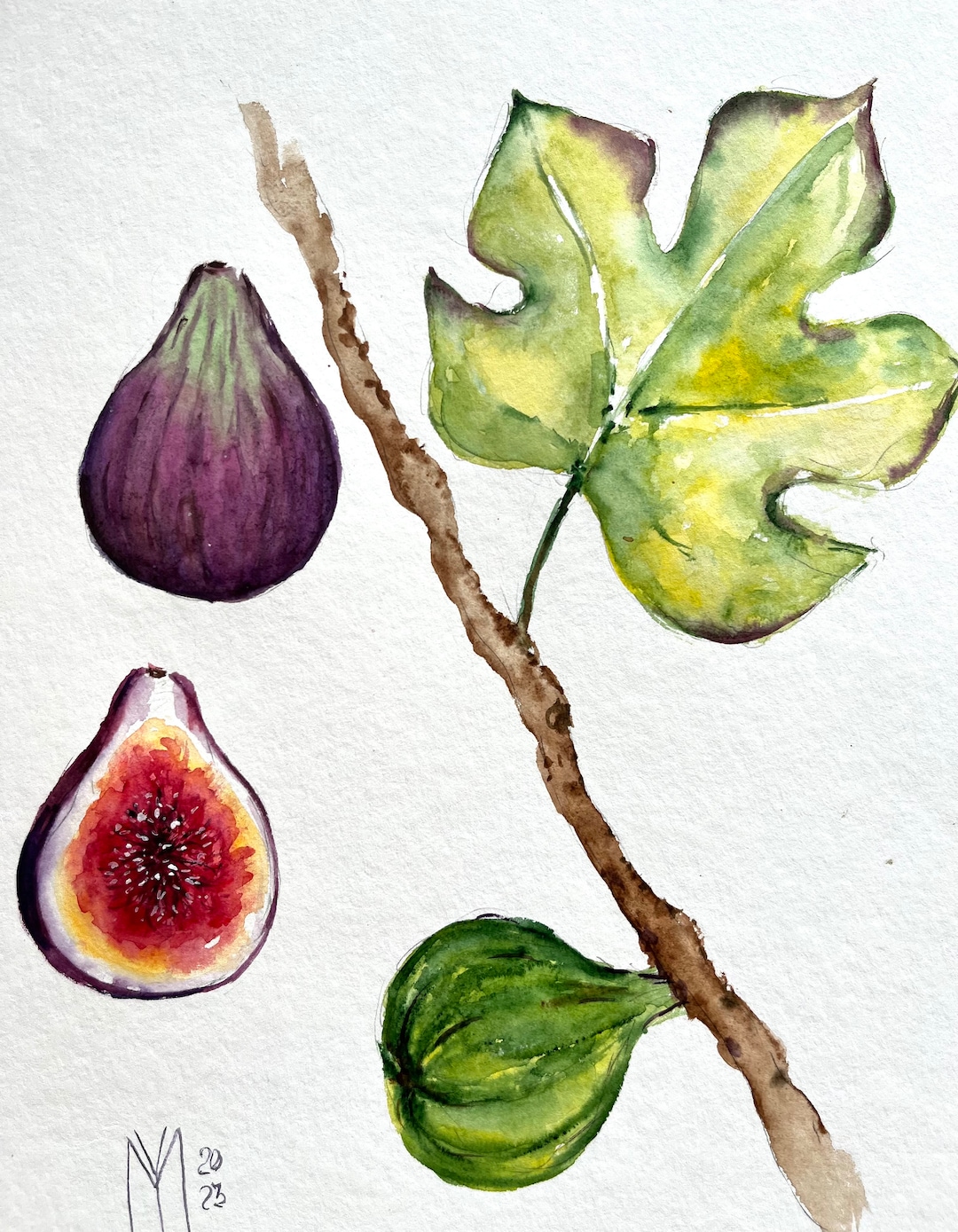 Figs Original Watercolor Art Painting Home Decor Figs Branch Art - Etsy