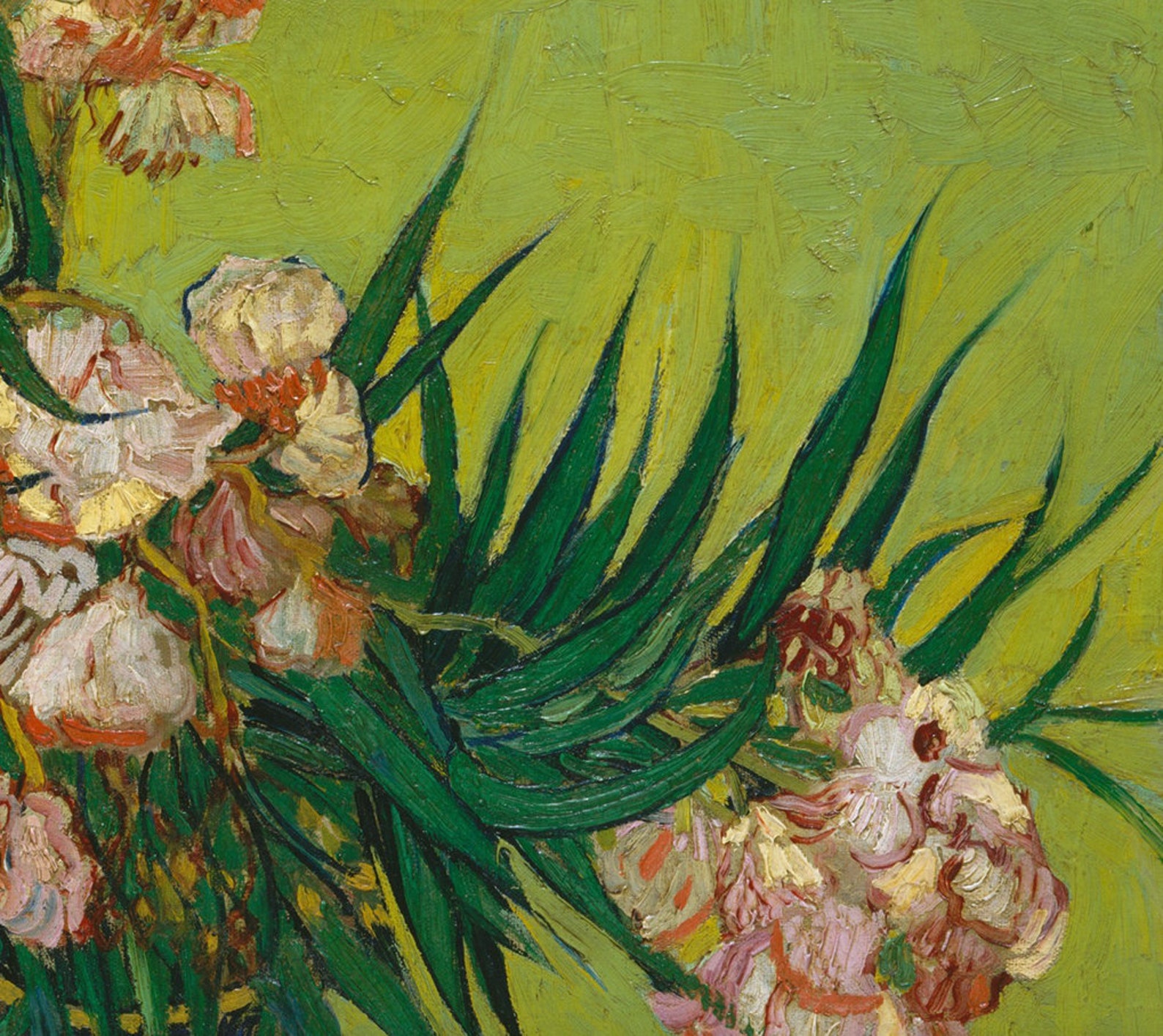 Van Gogh Oleanders Print - Etsy