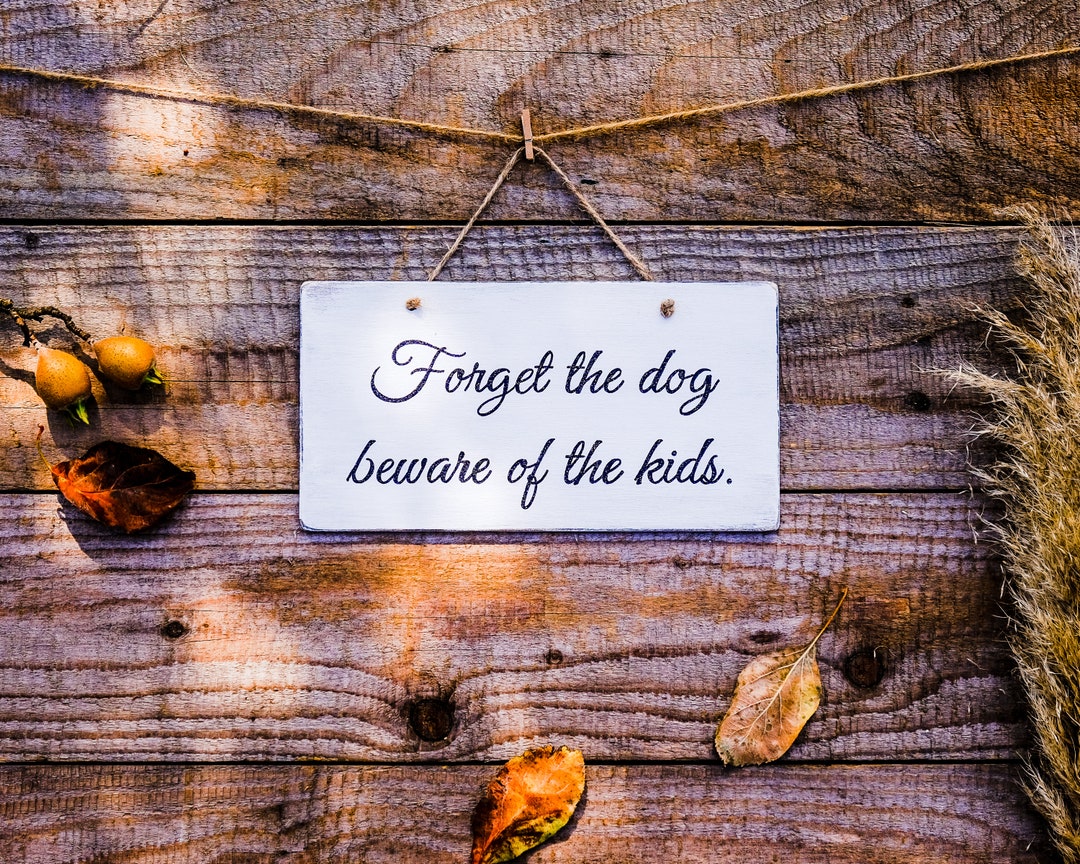 Beware of Kids Sign Gift for Young Family Funny Wood Sign - Etsy