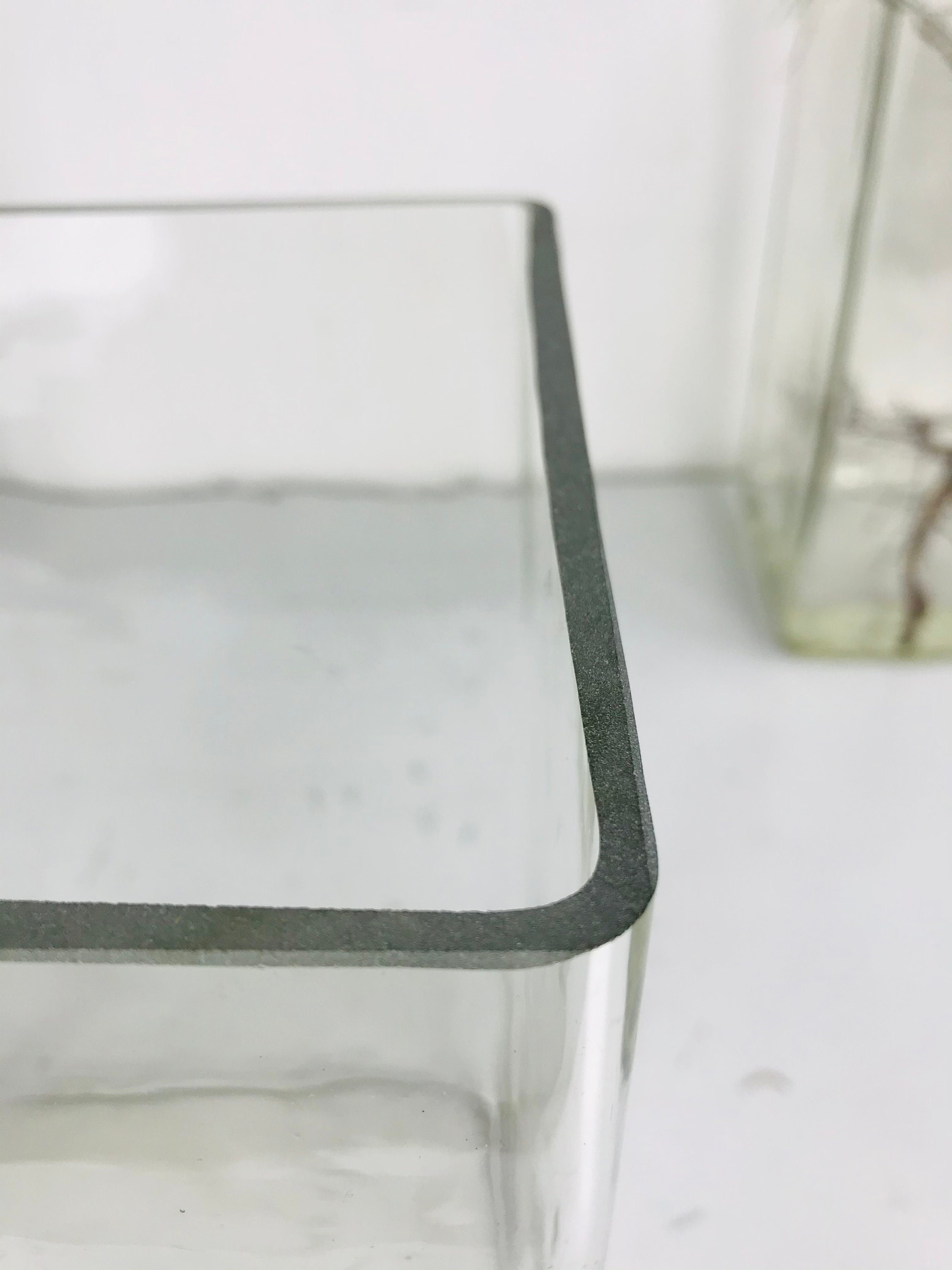 großes Glasgefäß Fichte eckig Batterieglas