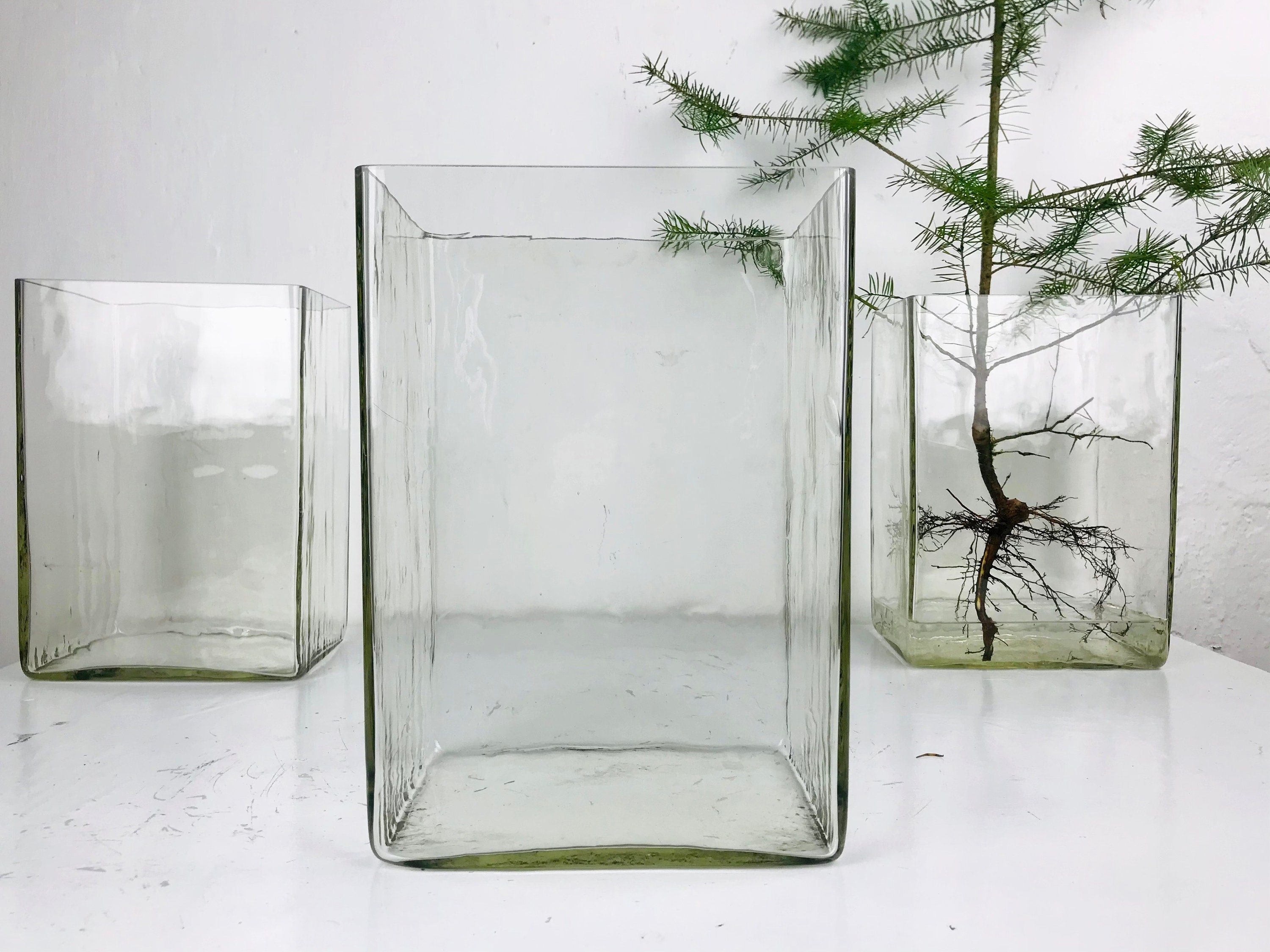großes Glasgefäß Fichte eckig Batterieglas