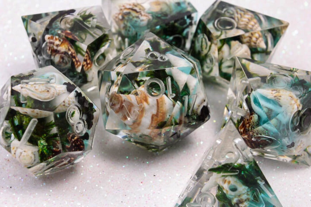 Conch Shell Dice Set Ocean D and D Dice Moss Dice Set TTRPG - Etsy