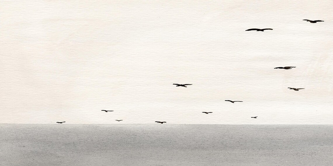 Neutral Bird Painting, Watercolor Bird Painting, Flock of Birds, Bird ...