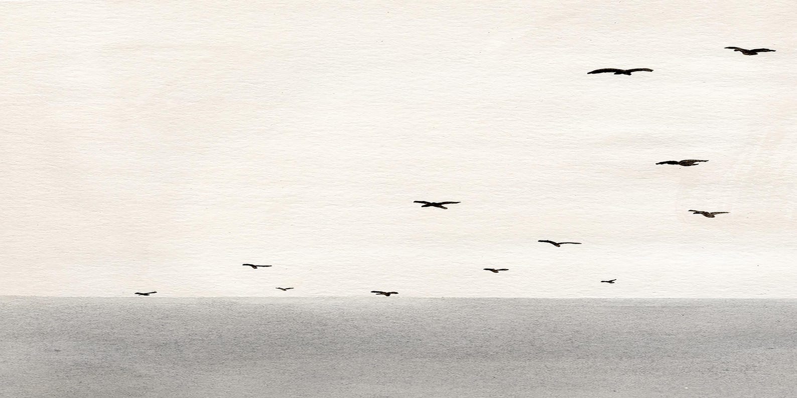 Neutral Bird Painting, Watercolor Bird Painting, Flock of Birds, Bird ...