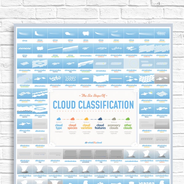 Classification Chart - Etsy