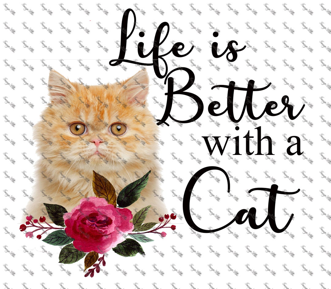 Life is Better With a Cat - Waterslide Decal - Clear - READY TO USE ...