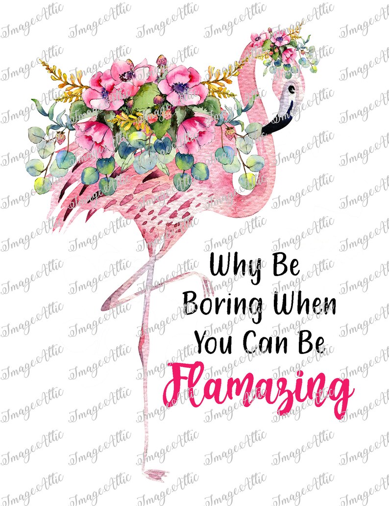 Why Be Boring - Flamingo - Waterslide Decal - Clear - READY TO USE ...