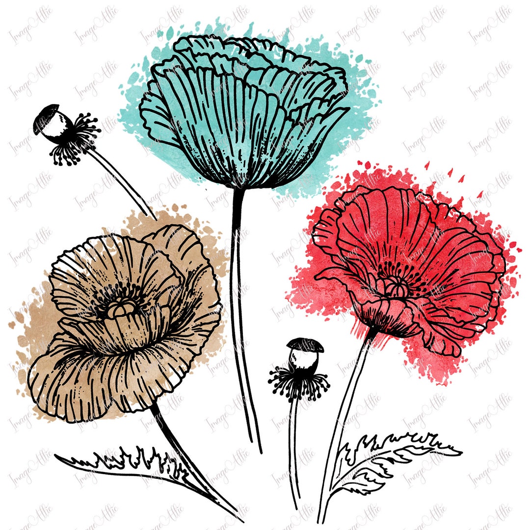 Poppy Flowers Wildflowers Waterslide Decal Clear READY TO USE Yeti ...