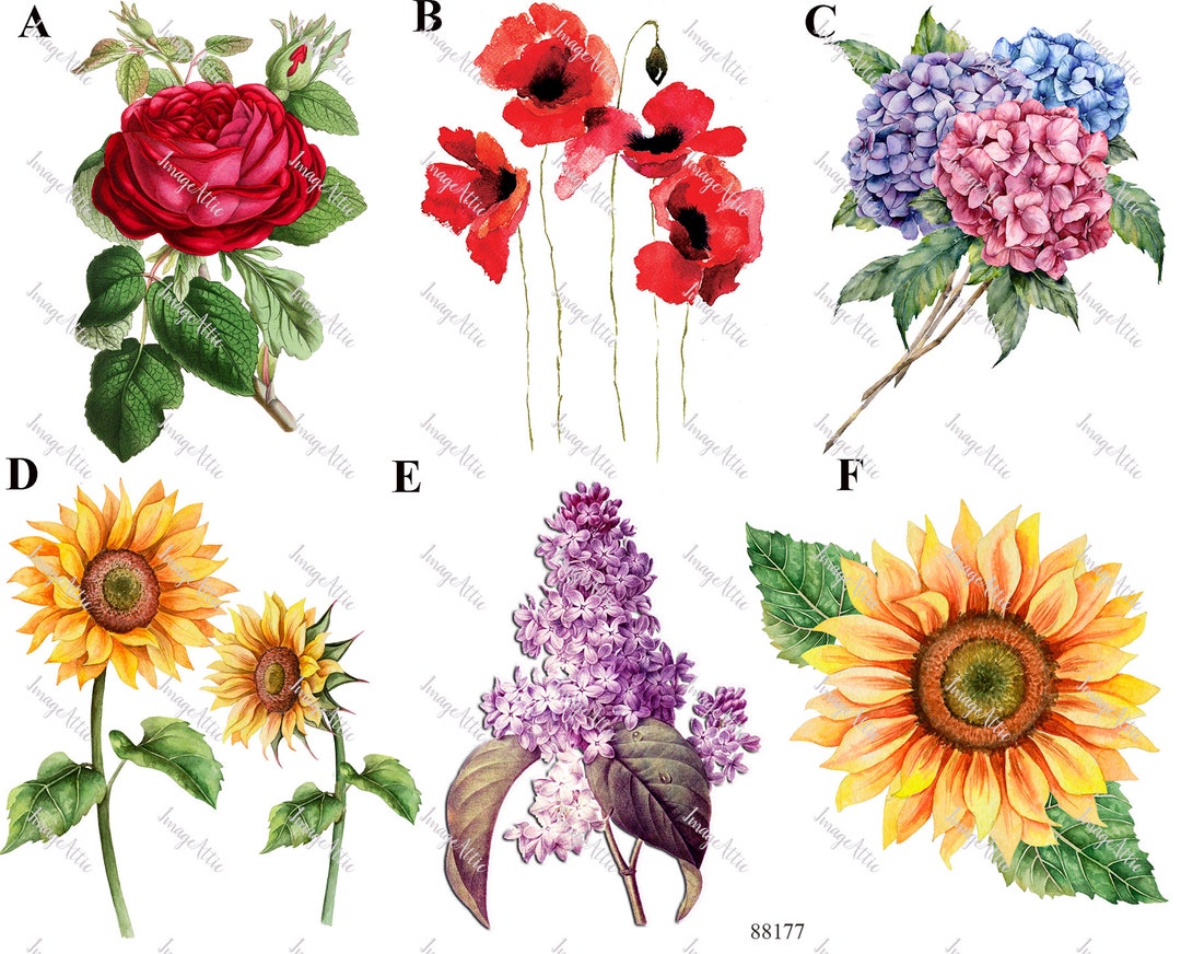 So Many Gorgeous Flowers - Waterslide Decal - Clear - READY TO USE ...