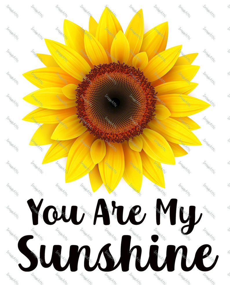 You Are My Sunshine - Sunflower - Waterslide Decal - Clear - READY TO ...