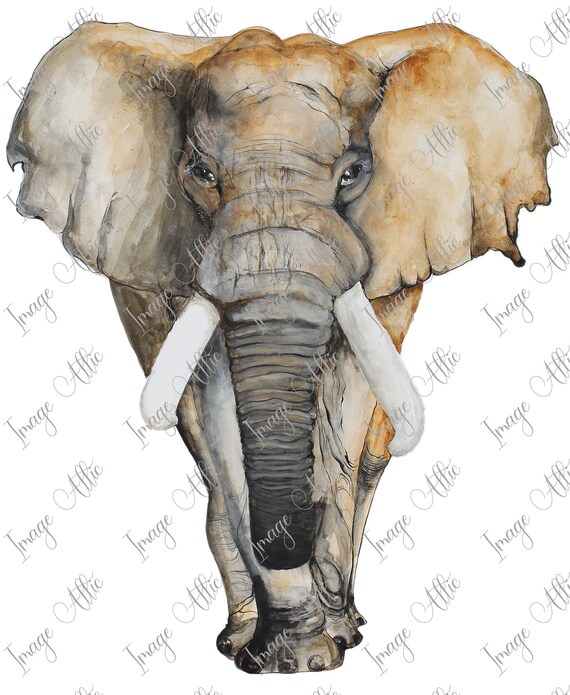 Beaurtiful Watercolor Elephant Waterslide Decal Clear - Etsy