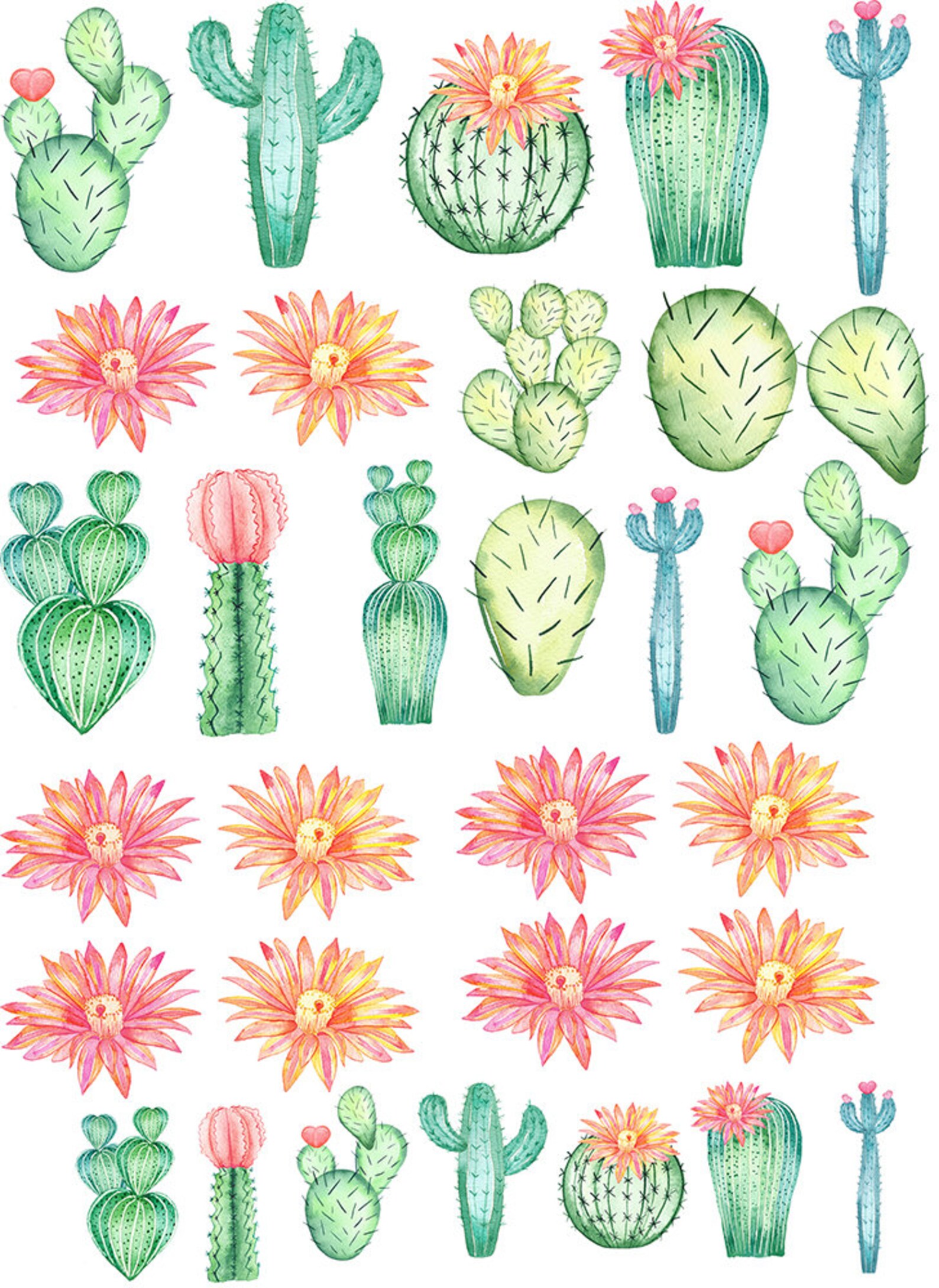 Watercolor Cactus & Succulents 2 - Full Sheet 8" X 10" Waterslide Decal ...