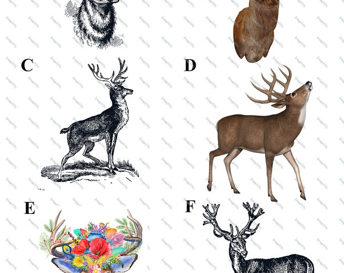 Deer Hunting Waterslide Decal Clear READY TO USE Laser - Etsy