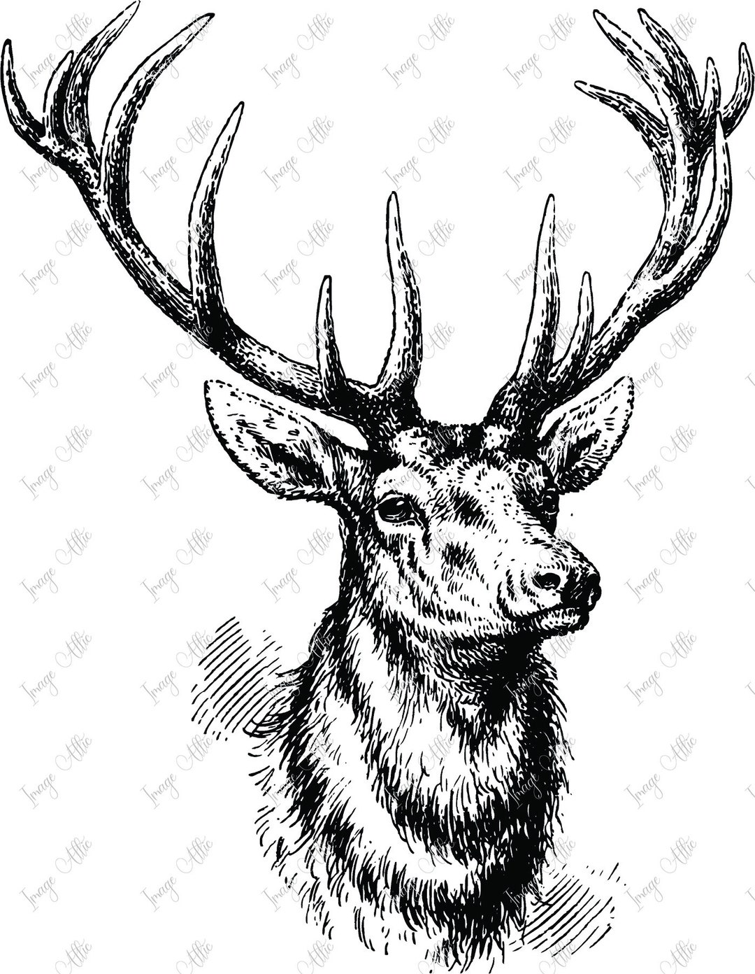Big Buck - Deer - Waterslide Decal - Clear - READY TO USE- Yeti Decal ...