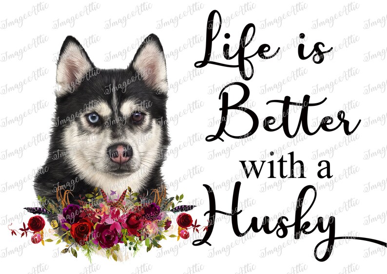 Life is Better With a Husky Dog Waterslide Decal Clear - Etsy