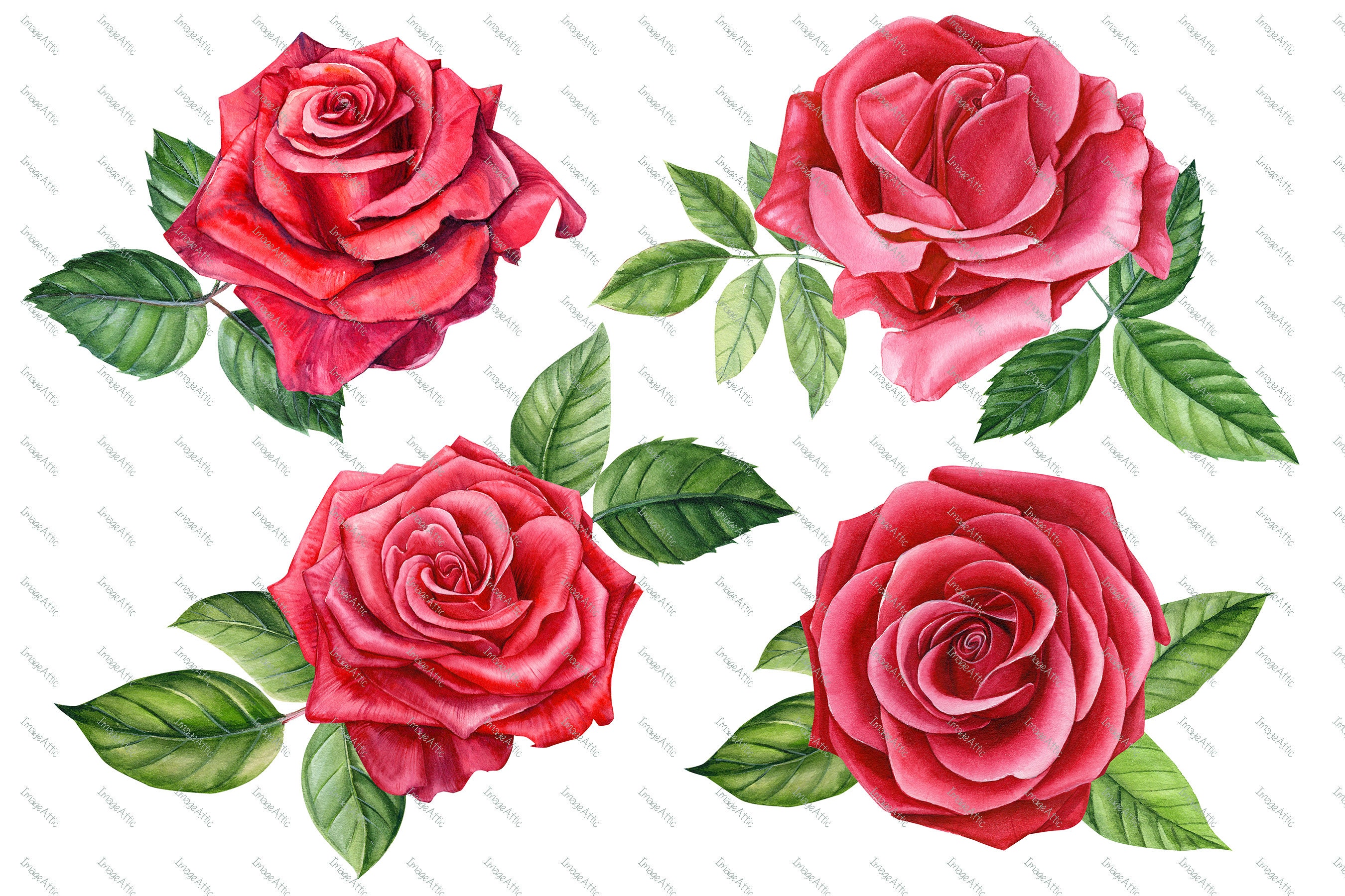 Roses Beautiful Pink Roses Set of 4 Waterslide Decal | Etsy