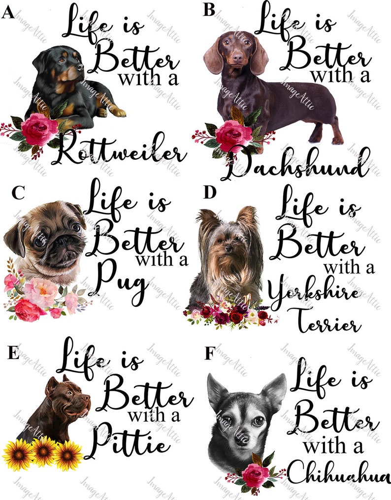 Life is Better With A Dog Ready to Use Waterslide Decals Water Slide ...