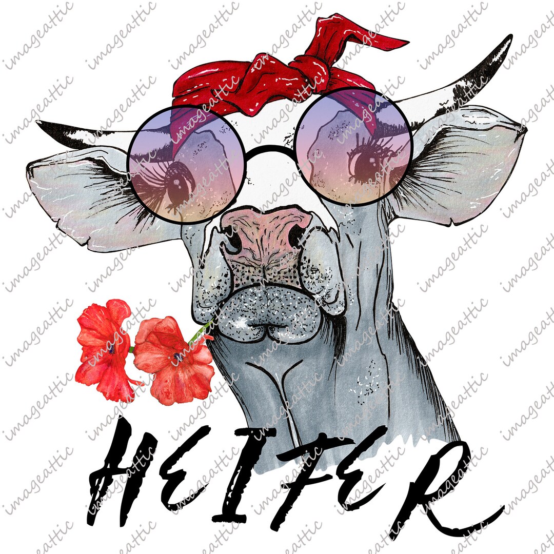 Too Cute Hippy Heifer Cow Heifer Waterslide Decal Clear READY TO USE ...