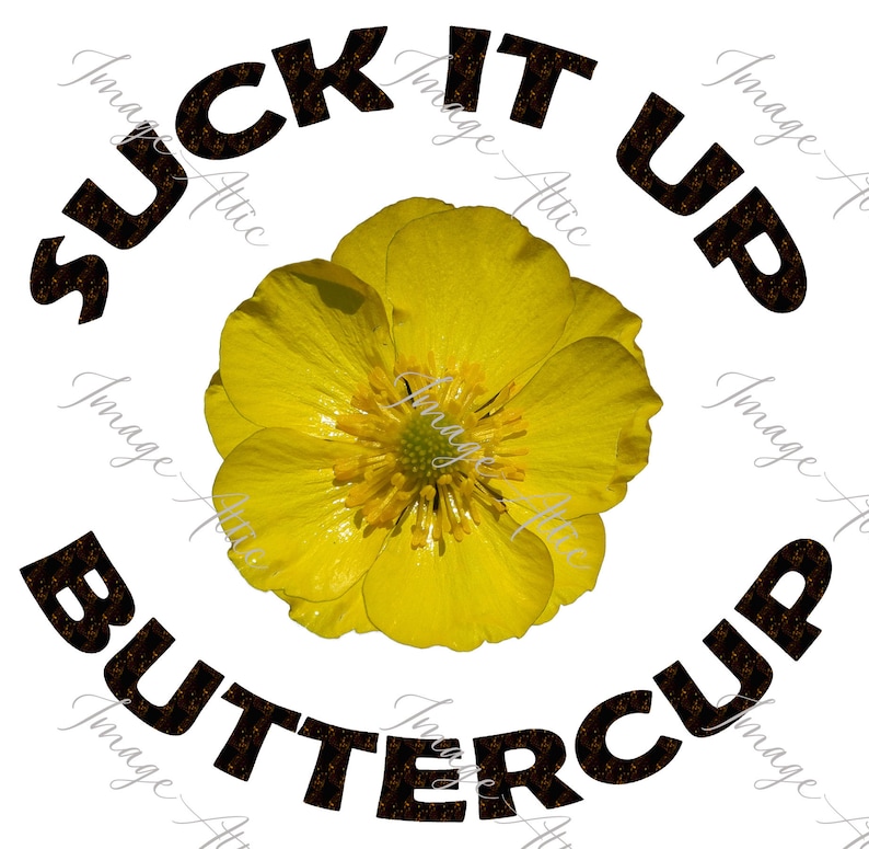 Suck It up Buttercup Waterslide Decal Clear READY TO USE Laser Printed ...