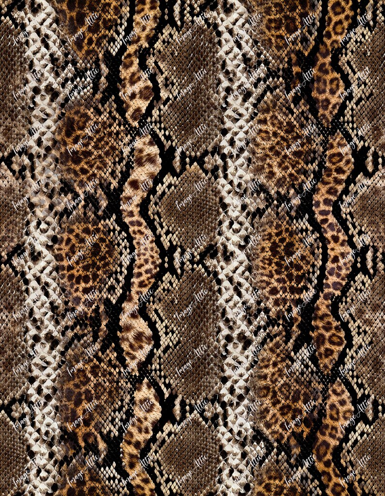Snake Skin 3 Sizes Waterslide Decal Clear READY TO USE 42776 W - Etsy