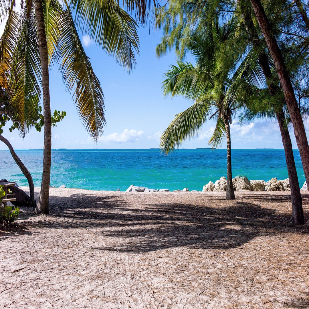 Tropical Beach Photo Backdrop Banner Beach Wedding Reception Backdrop ...