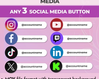 Custom Animated Social Media Lower Thirds for Youtube Intro Videos Instagram Twitter Twitch ...