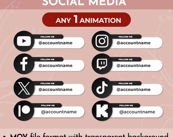 Custom Animated Social Media Lower Thirds for Youtube Videos Instagram ...