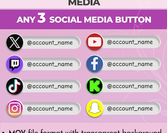 Custom Animated Social Media Lower Thirds for Youtube Intro Videos Instagram Twitter Twitch ...