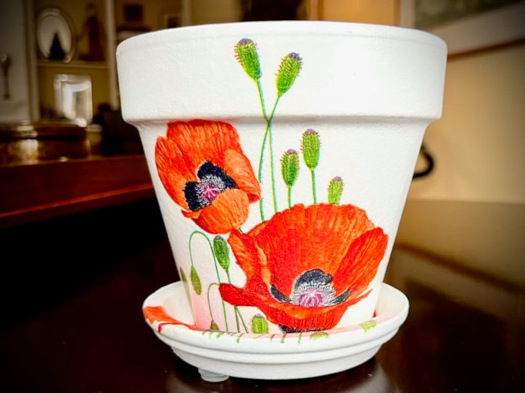 Vibrant Orange California Poppy Flower Pot, Matching Saucer, Floral ...