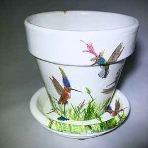 Charming Humming Bird Flower Pot and Saucer - Etsy