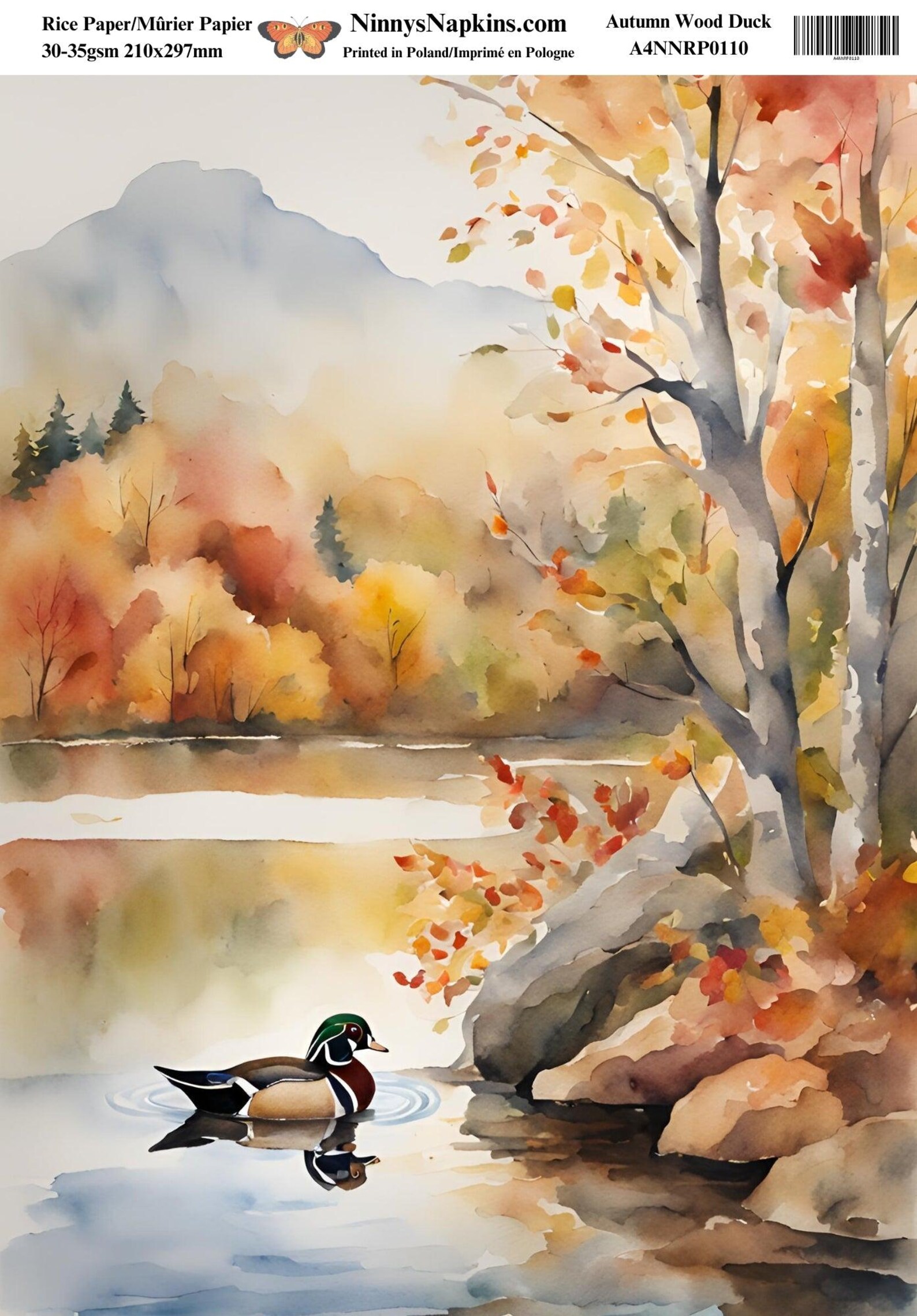Ninny's Decoupage Rice Paper - Autumn Wood Duck - Etsy