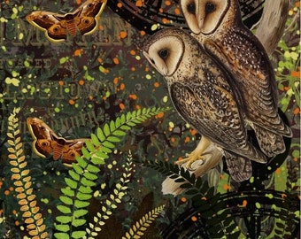 Owl Rice Paper - Etsy