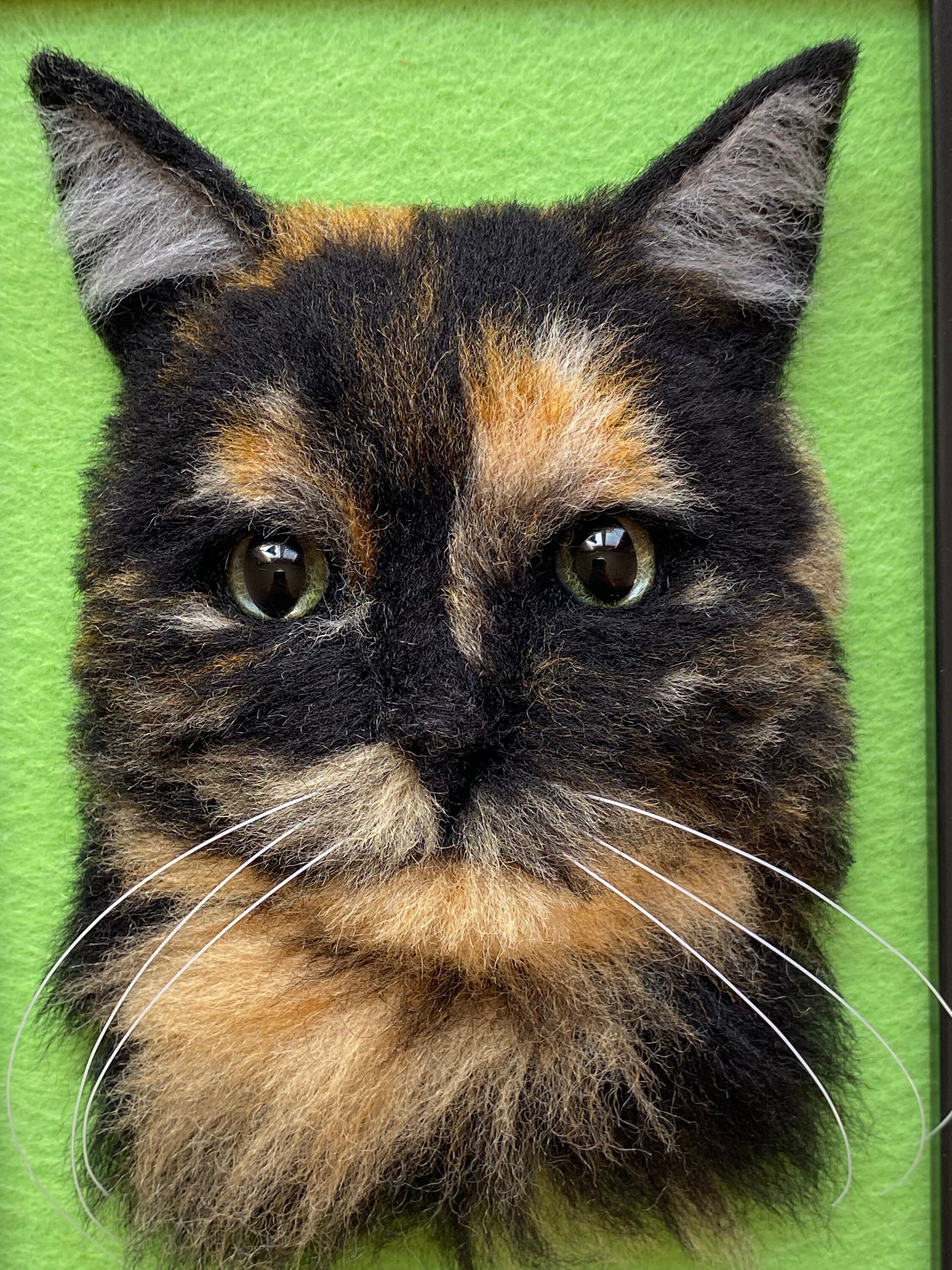 Custom Personalized Pet Portrait, Custom Pet Memorial, 3D Cat in Frame ...