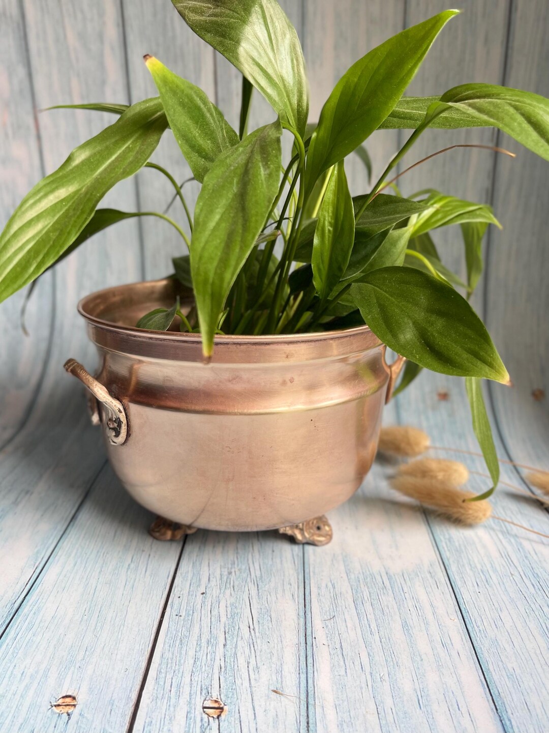 Antique Copper Cauldron-style Planter – Brass Handles & Ornate Feet ...