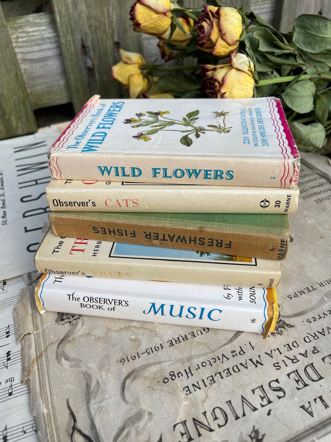 Vintage Observer Guides - Music, Trees, Freshwater Fish, Cats, Wild ...