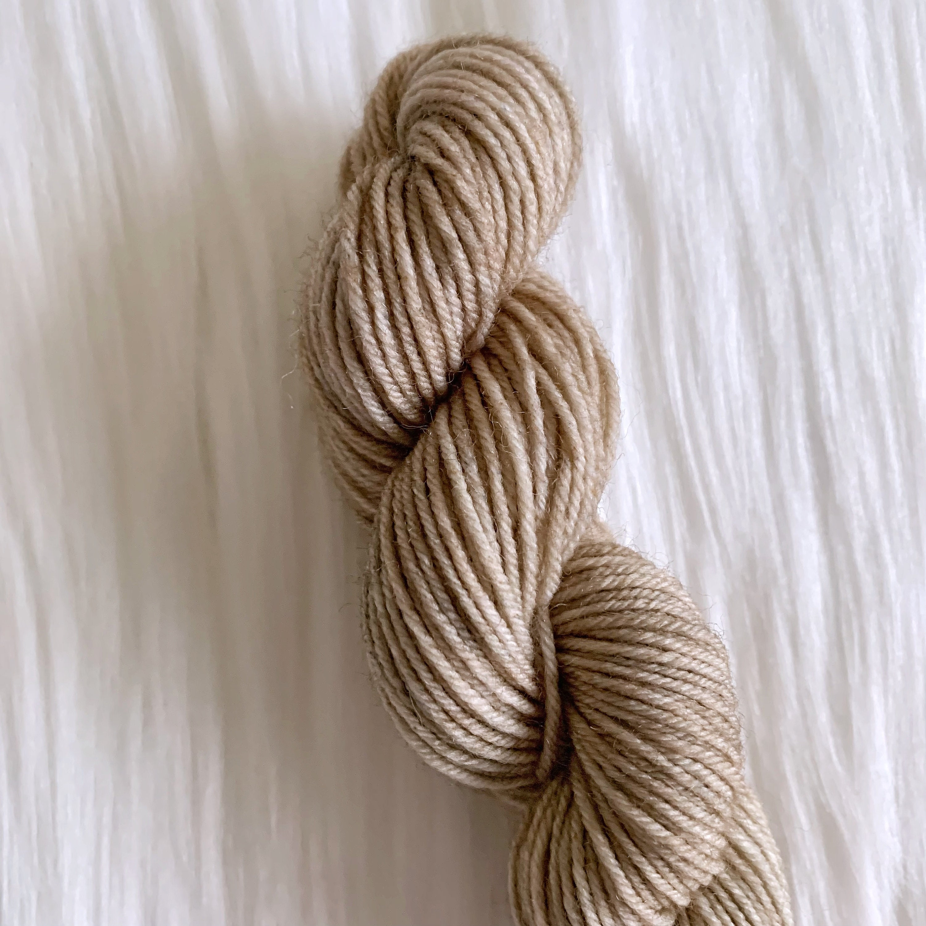 If You Give a Mouse a Cookie Yarn, Hand Dyed Yarn, Bookish Yarn, Yarn ...