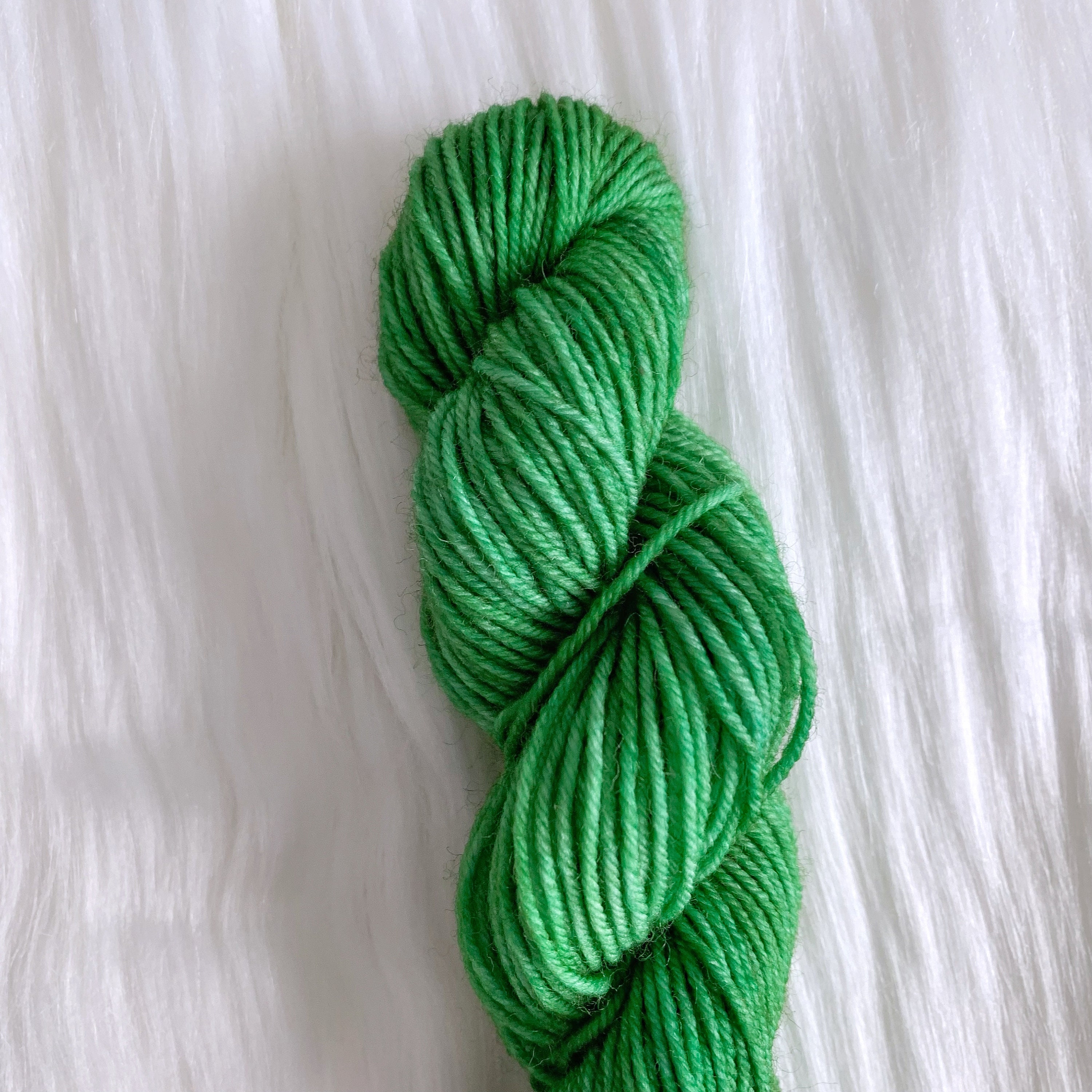 The Very Hungry Caterpillar Yarn, Hand Dyed Yarn, Bookish Yarn, Yarn Preorder, Classic Book Yarn ...