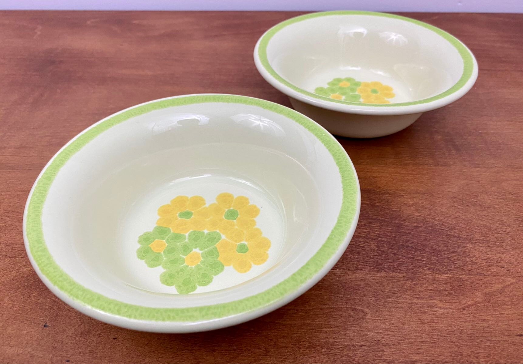 Retro 1970's Franciscan Picnic Pattern Earthenware Various Dinnerware ...