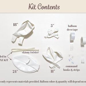 Custom Deluxe Balloon Garland Kit, Professional Balloon Arch Strip W ...