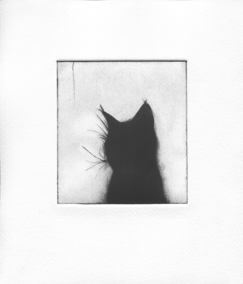 Mezzotint Print of Cat Limited Edition - Etsy
