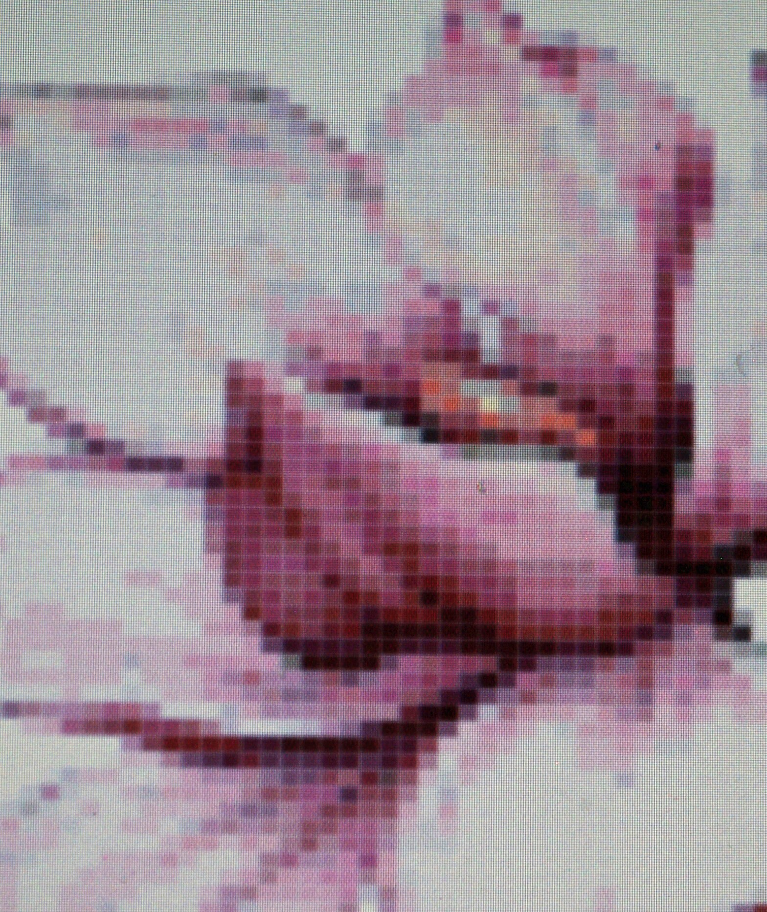 Pink Magnolia Cross Stitch Pattern, Needlepoint, Nature, Flowers ...