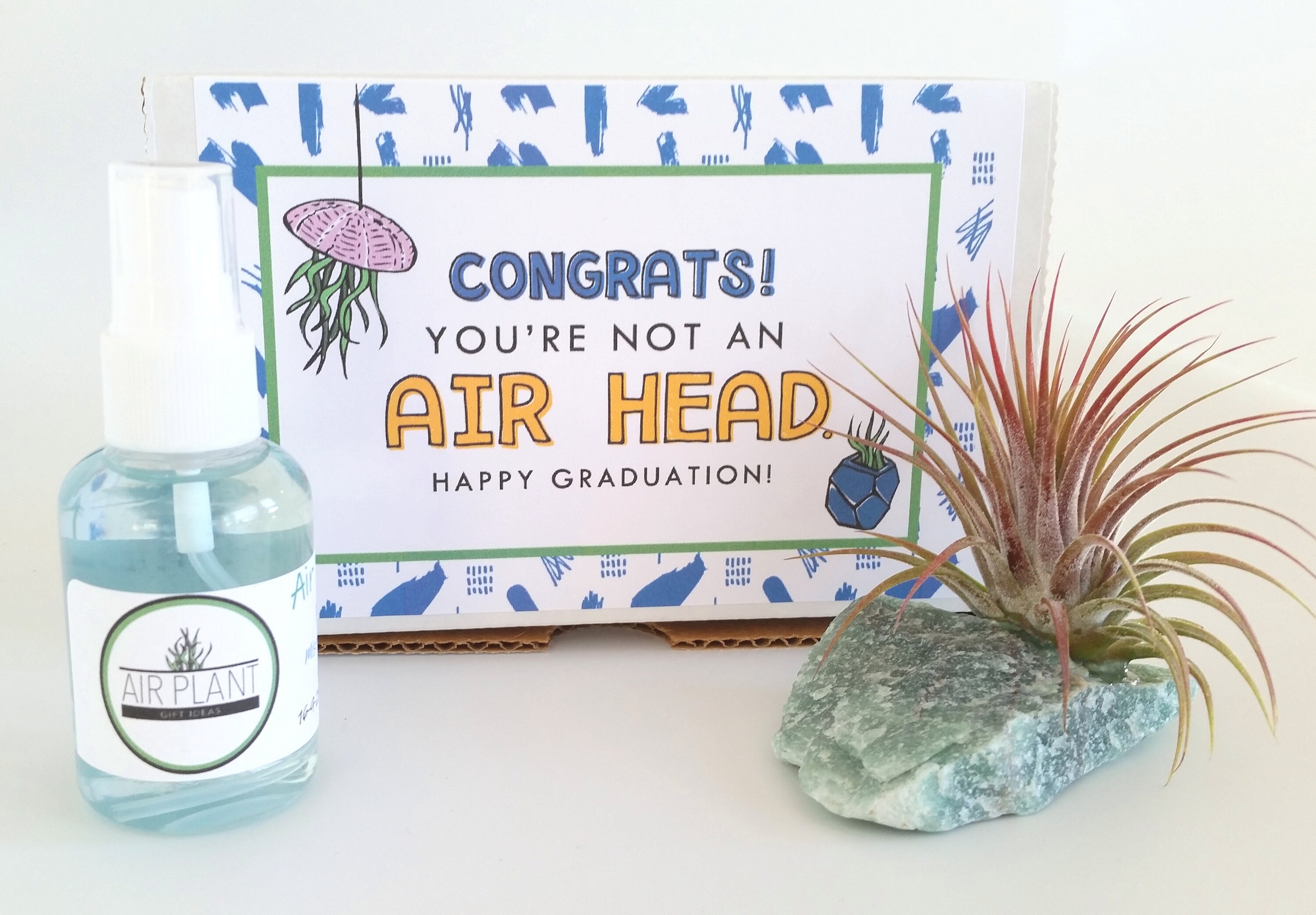 Air Plant on Green Quartz Graduation Gift Air Plant Gift - Etsy