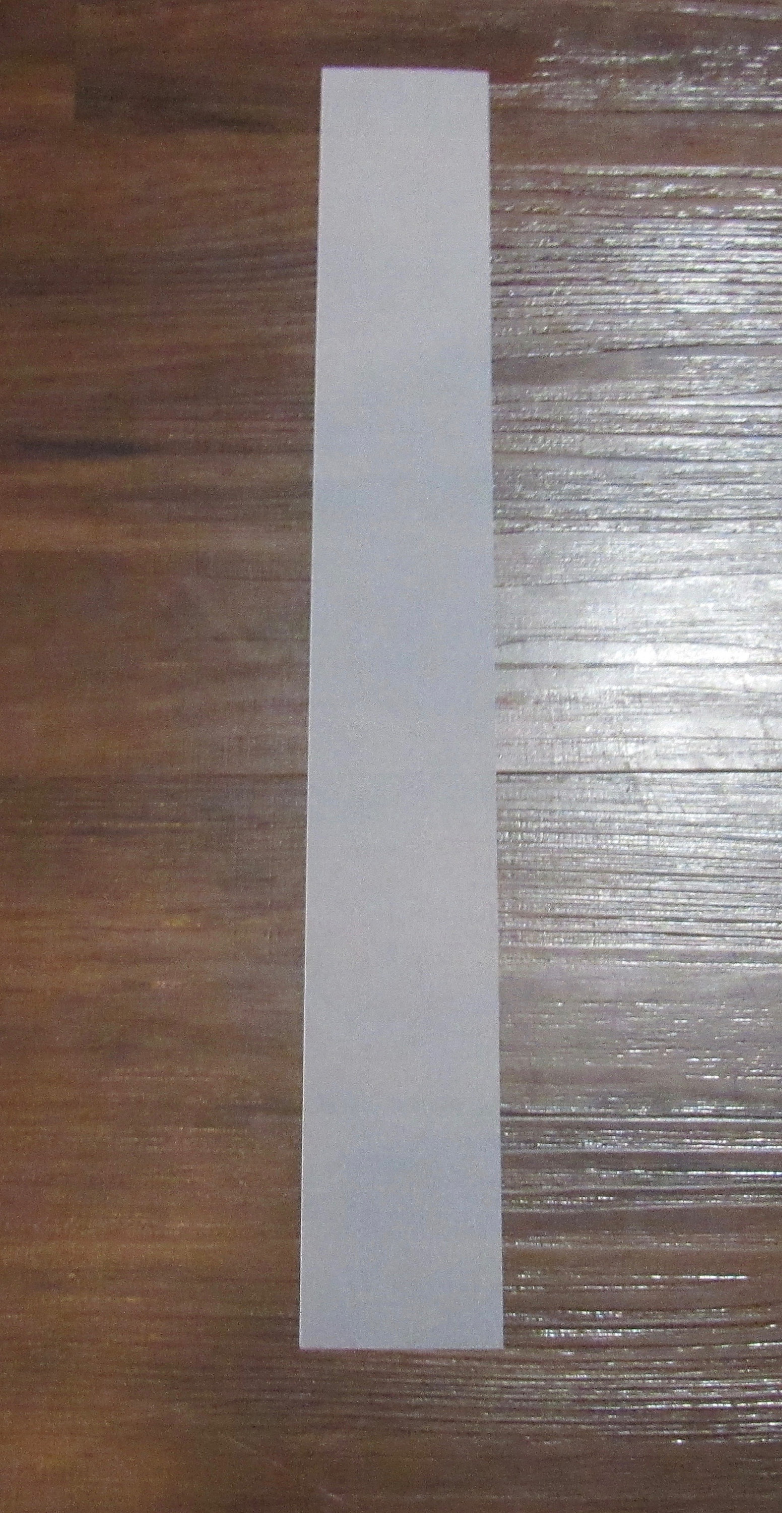 20 Count 28lb. Translucent Vellum Wedding Belly Bands - Etsy