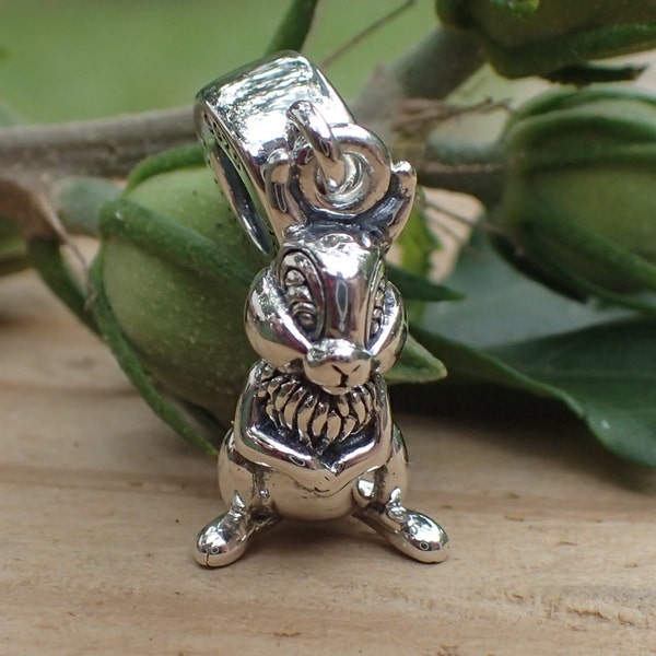 Pandora Silver Charm - Etsy