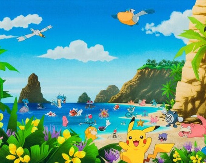 Sunny Day Pokemon Robert Kaufman Panel Cotton Fabric - Etsy