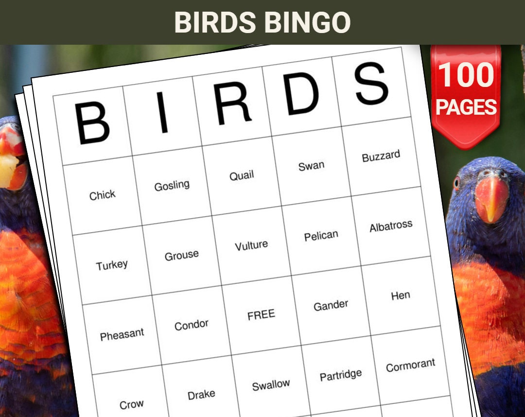 Birds Bingo Cards 100 Pages to Download and Print - Etsy