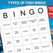 Types of Fish Bingo Cards 100 Pages to Download and Print - Etsy