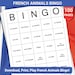 French Animals Bingo Cards - 100 Pages to Download and Print - Etsy