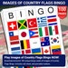 Images of Country Flags Bingo Cards - 100 Pages to Download and Print - Etsy Canada