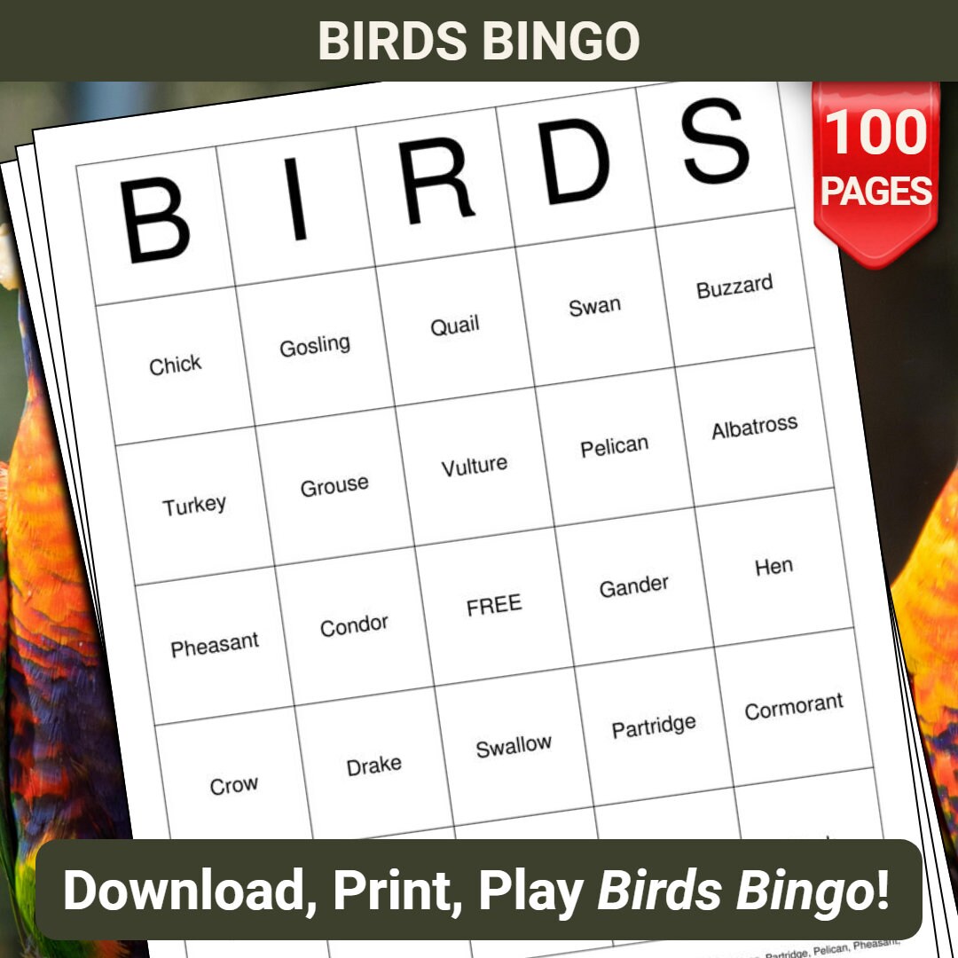 Birds Bingo Cards - 100 Pages to Download and Print - Etsy